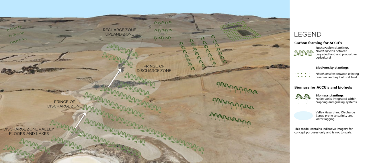 Wheatbelt Connect — Native revegetation options